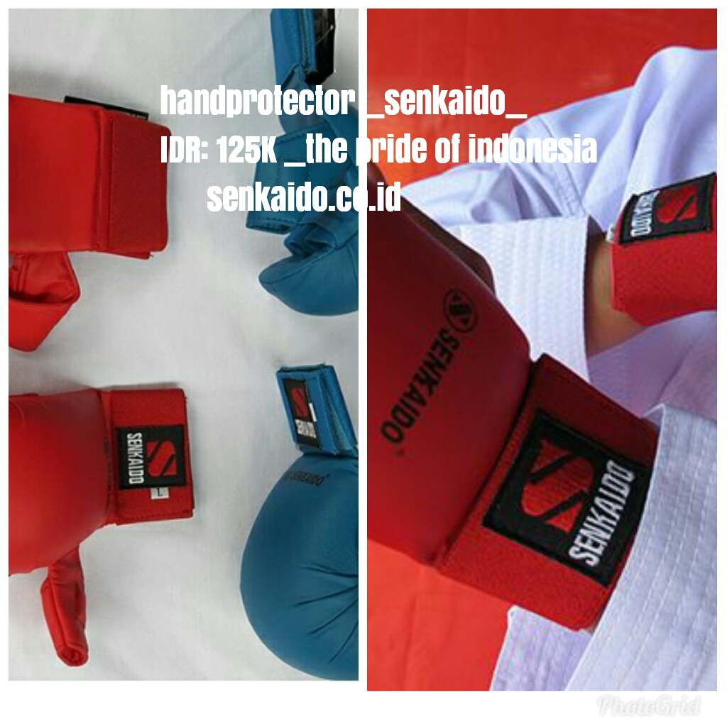Senkaido hand protector | SenkaidoSport